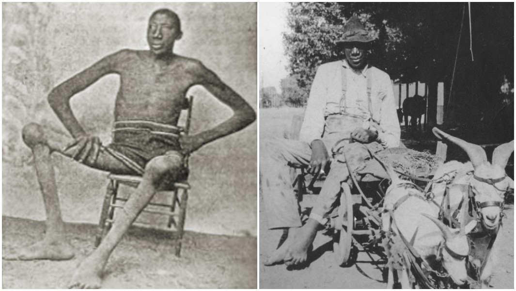 El segundo hombre más alto de la historia: John "Bud" Rogan | Guinness ...