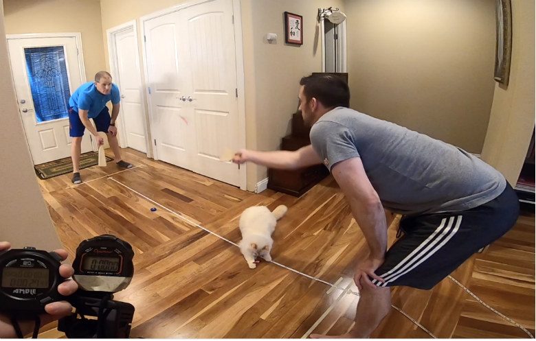 Most hanetsuki hits between two people in one minute | Guinness World ...