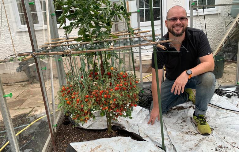 Most tomatoes from a single truss | Guinness World Records